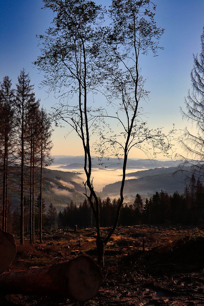 Morgens unterwegs Foto & Bild | landschaft, jahreszeiten, herbst Bilder auf fotocommunity