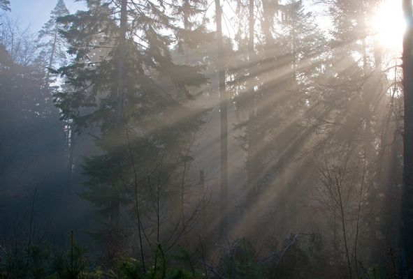 Verena F. - Fotos & Bilder - Fotografin aus Rapperswil, Schweiz ...