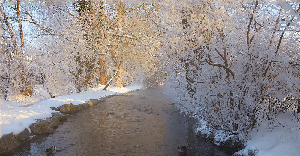 Morgensonne..., Foto & Bild | jahreszeiten, winter, deutschland Bilder auf fotocommunity
