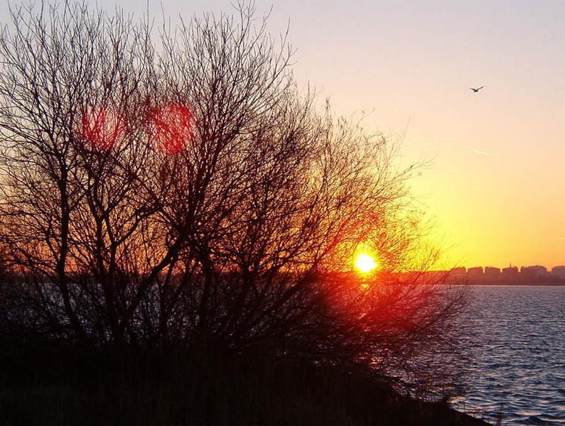 Morgensonne Foto & Bild | jahreszeiten, winter, natur Bilder auf fotocommunity