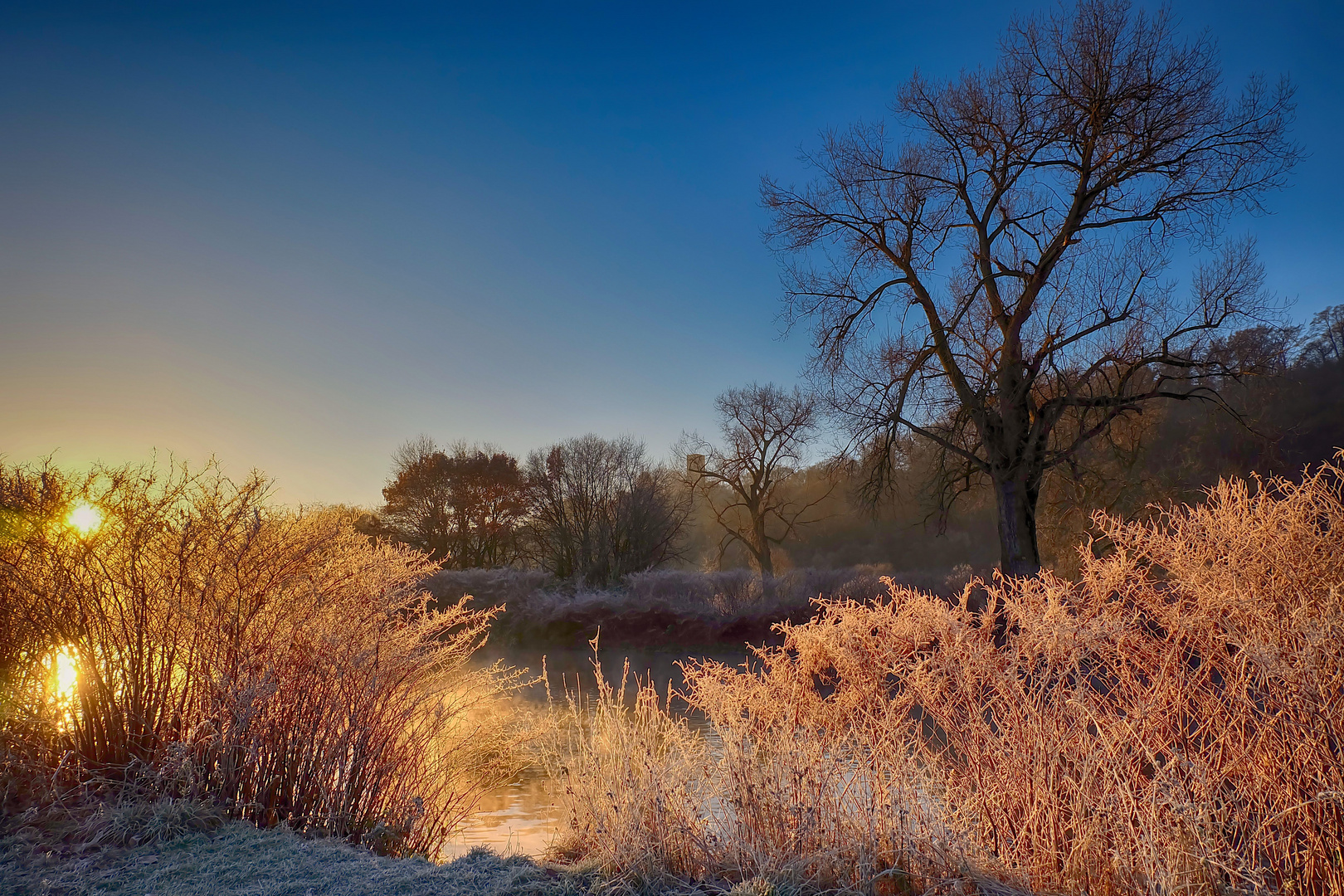 Morgensonne im Dezember Foto & Bild | sonnenaufgang, winter, natur Bilder auf fotocommunity