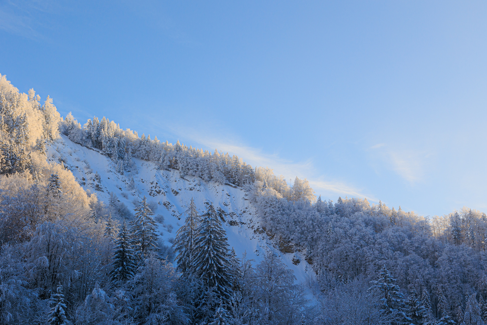 Morgensonne im Winter Foto & Bild | jahreszeiten, winter, natur Bilder auf fotocommunity