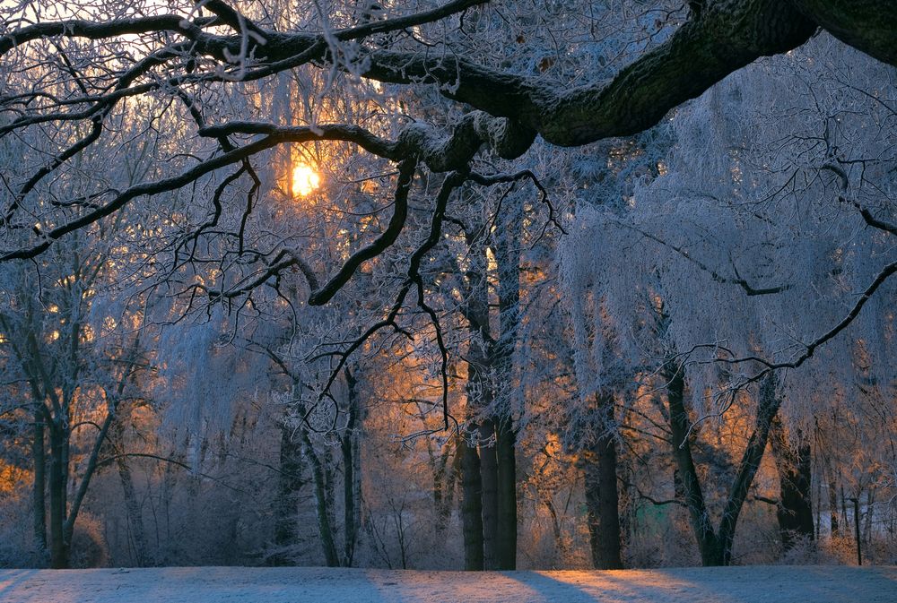 Morgensonne Sonntag Foto & Bild | landschaft, jahreszeiten, winter Bilder auf fotocommunity
