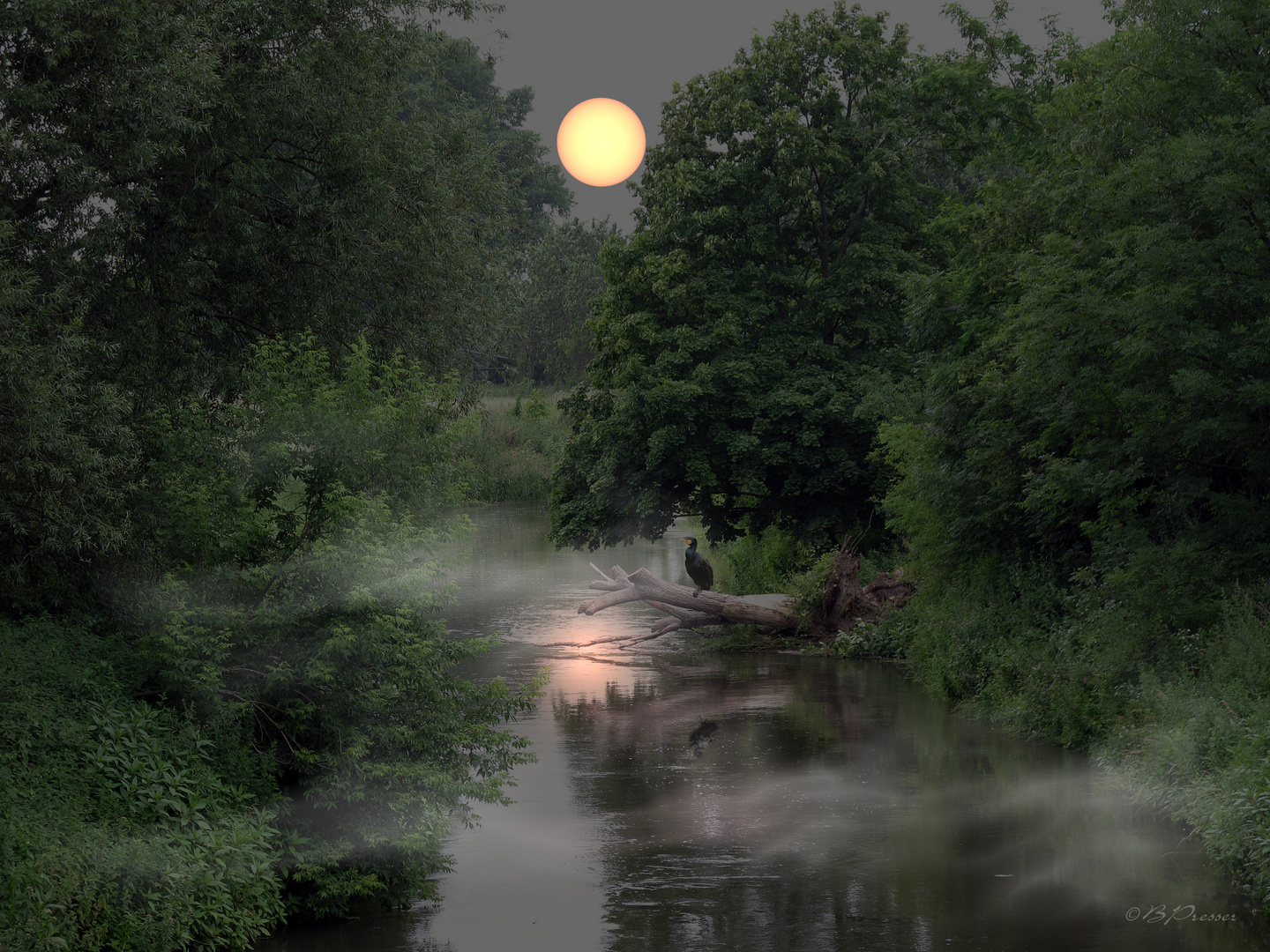 Morgenstille Foto & Bild | bearbeitungs - techniken, filtertechniken, digiart Bilder auf ...
