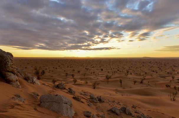 Western Sahara Bilder & Fotos