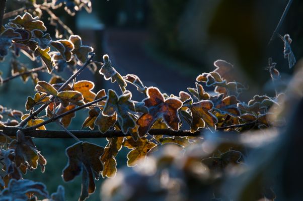 Florian Rost - Fotos & Bilder - Fotograf aus Weimar, Deutschland ...
