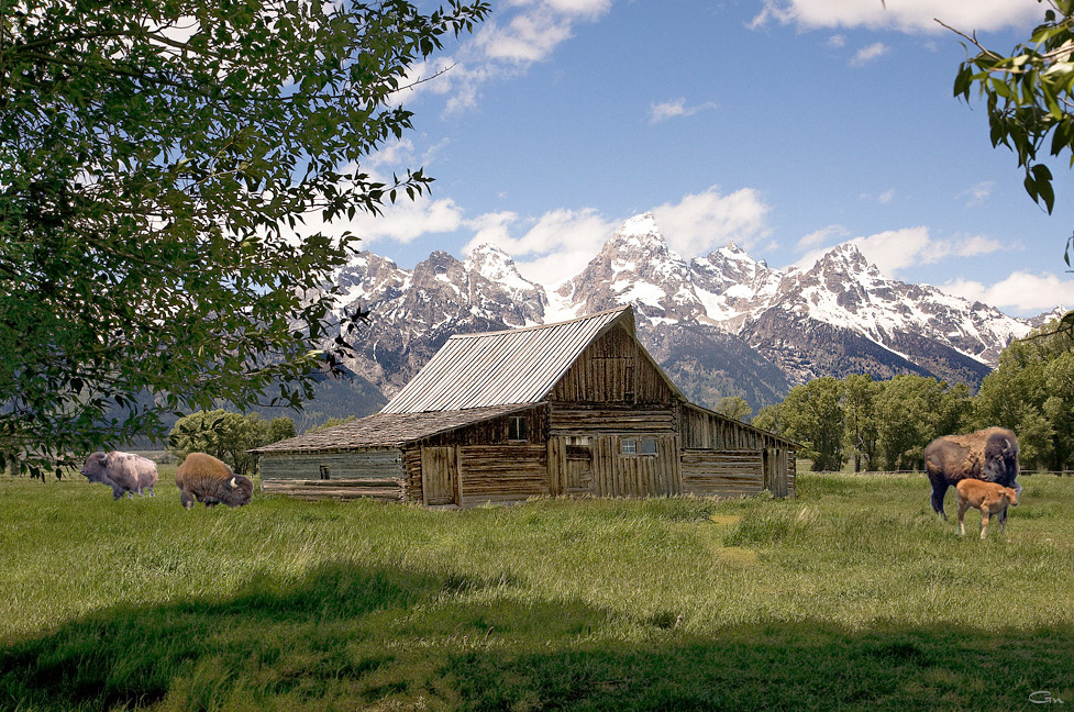 Mormon Row Foto & Bild | north america, united states, national parks ...