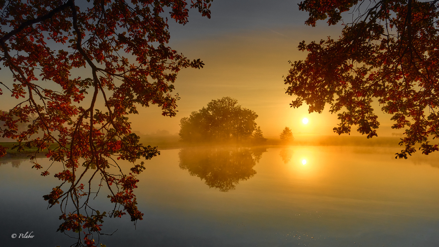 Morning has broken Foto & Bild | france, world, outdoor Bilder auf ...