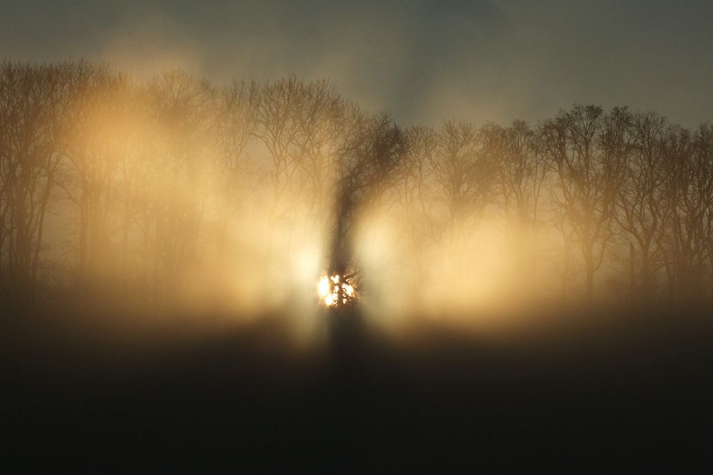 Morning Light Foto & Bild | deutschland, europe, nordrhein- westfalen ...