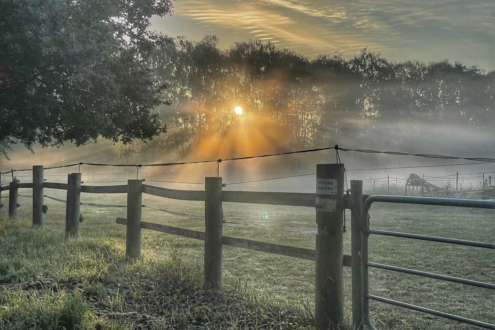 Morning vibes Foto & Bild | fotos, outdoor, bäume Bilder auf fotocommunity