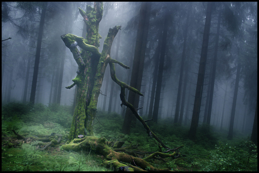 - morsch - Foto & Bild | bearbeitungs - techniken, filtertechniken ...