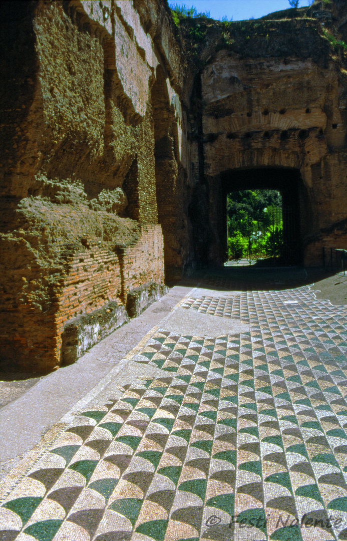 Mosaik in den Caracalla-Thermen Foto & Bild | architektur, europe ...