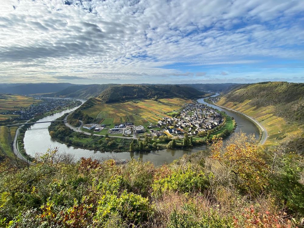Mosel bei Ernst Foto & Bild | landschaft, bach, fluss & see, flüsse und ...