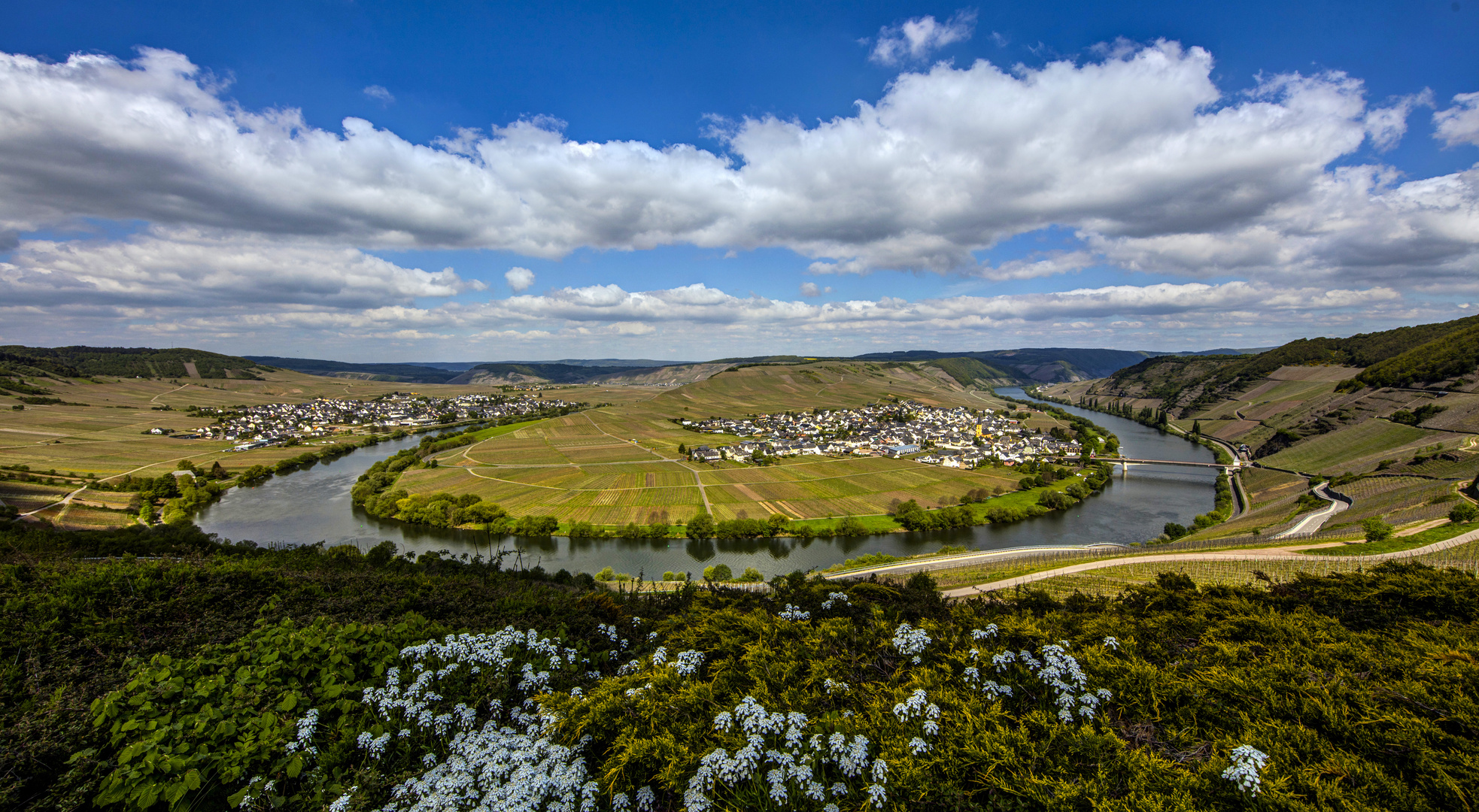 Moselschleife Trittenheim Foto & Bild | urlaub, world, sommer Bilder ...