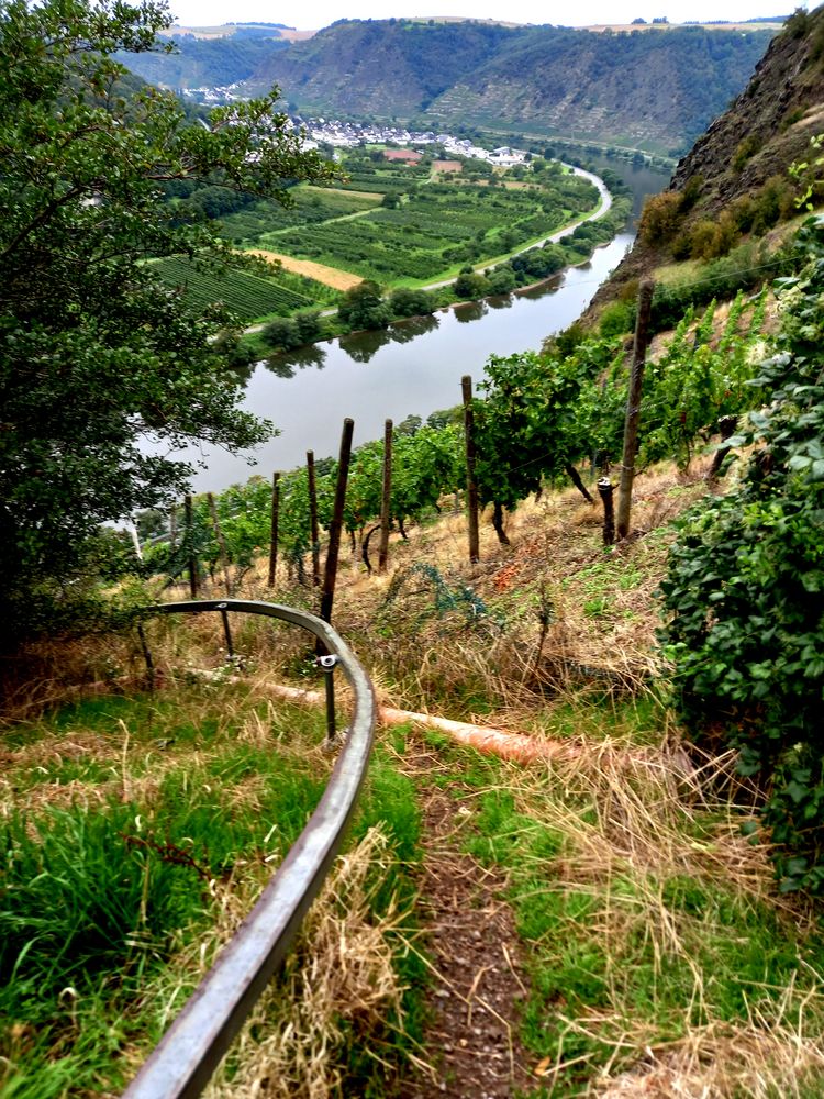 Moselspiegel Foto & Bild | deutschland, europe, rheinland-pfalz Bilder auf fotocommunity