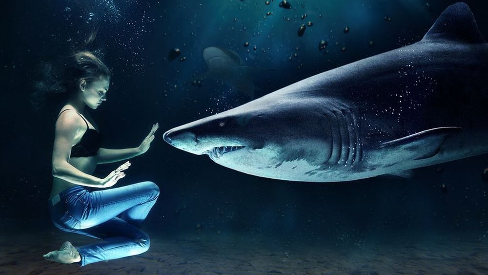 motionless Foto & Bild | fotomontage, fantasy mystery, composing Bilder auf fotocommunity