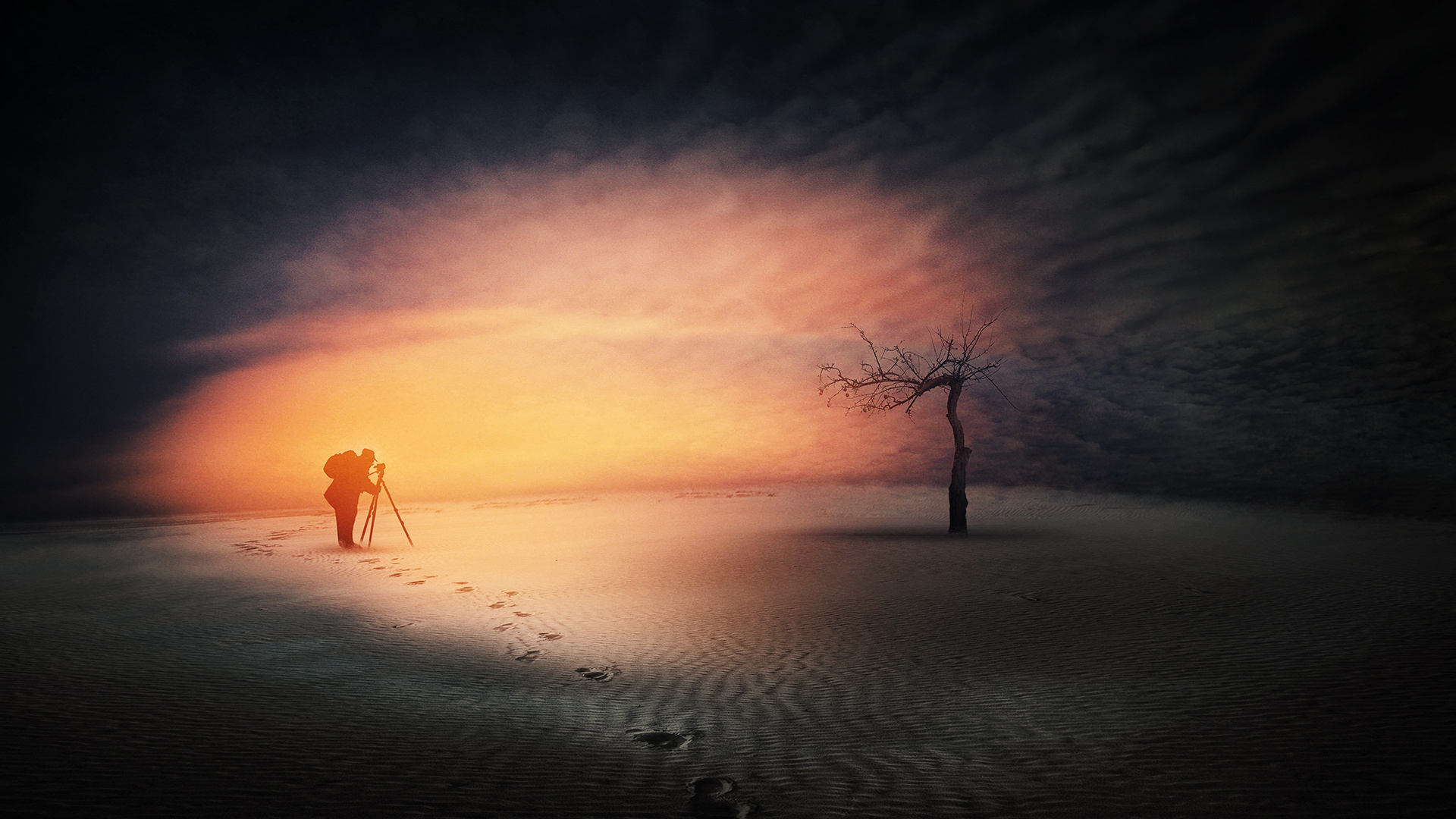 Motiv Foto & Bild | sonne, baum, composing Bilder auf fotocommunity