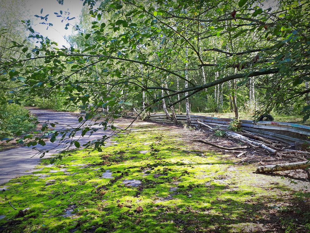 Motodrom Almaring Foto & Bild | sport, deutschland, europe Bilder auf ...