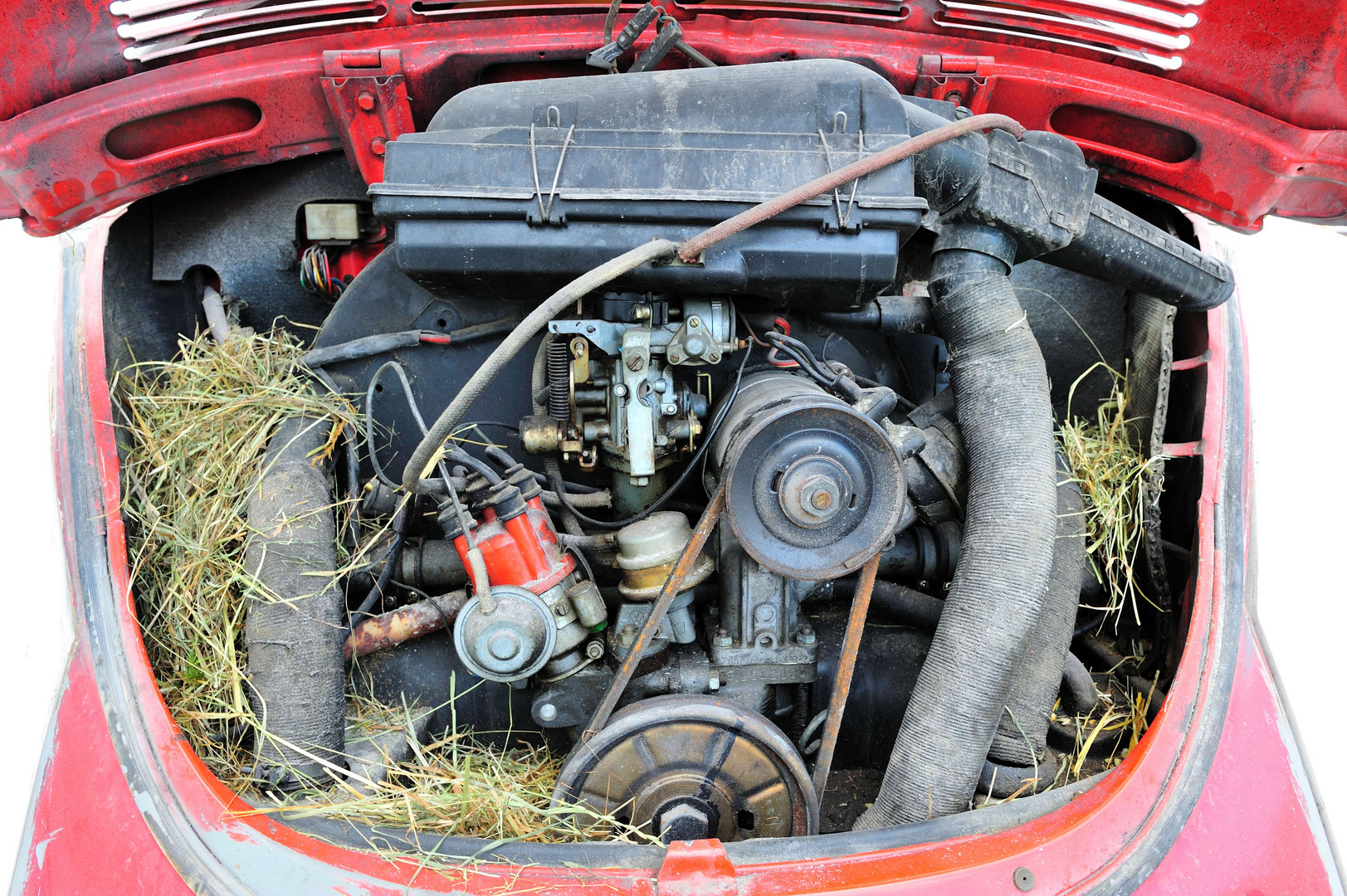 Motor VW Käfer Foto & Bild | autos & zweiräder, oldtimer youngtimer, vw ...