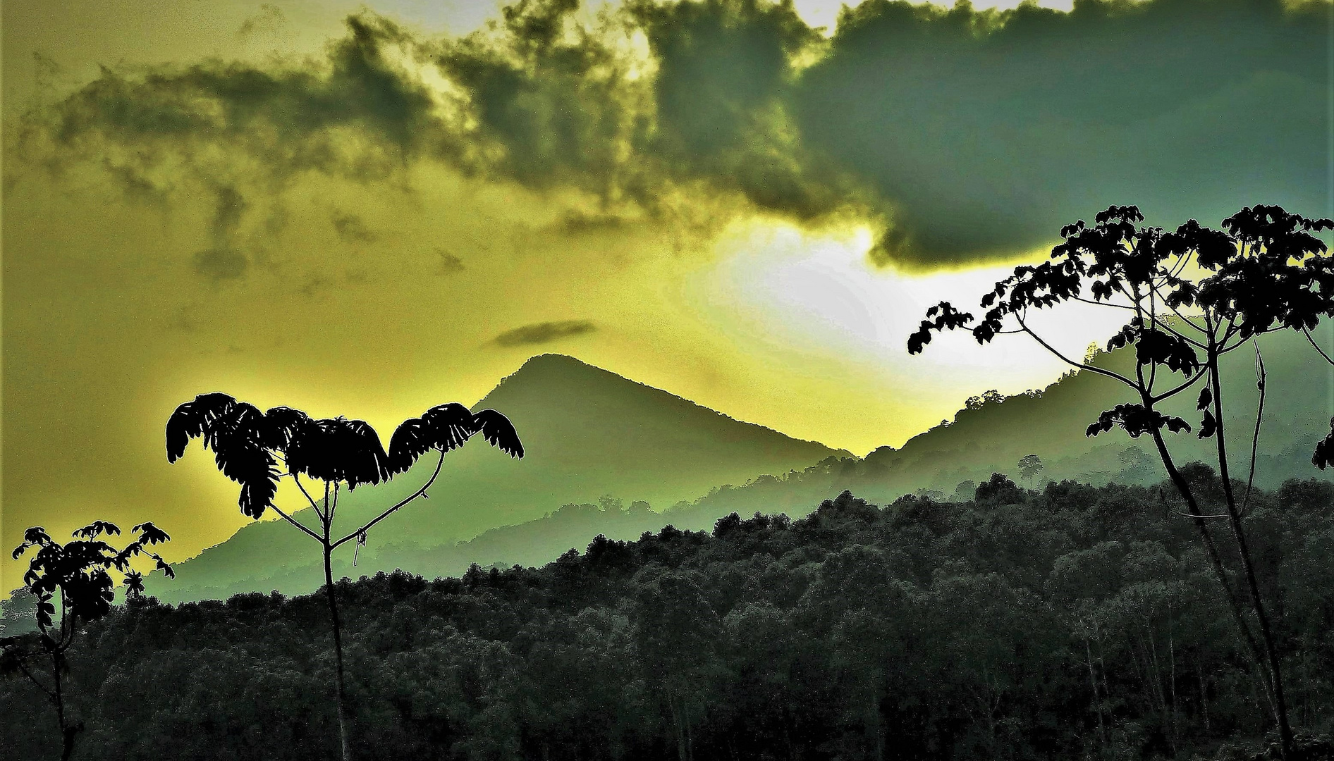 Mount Fako / Kamerun Foto & Bild | world, natur, afrika Bilder auf ...