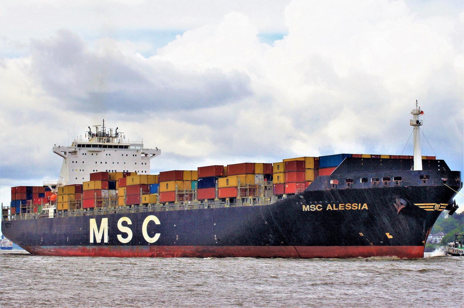 MSC ALESSIA Foto & Bild | fotos, world, dokumentation Bilder auf fotocommunity