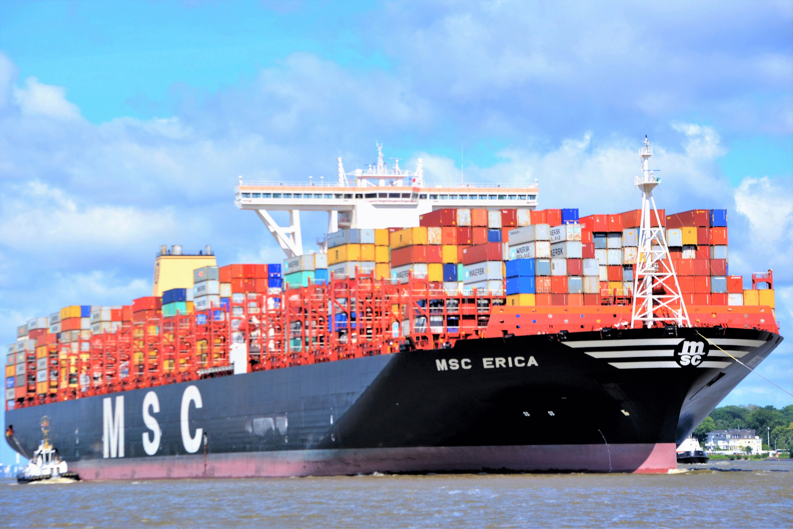 MSC ERICA Foto & Bild | fotos, nikon, world Bilder auf fotocommunity