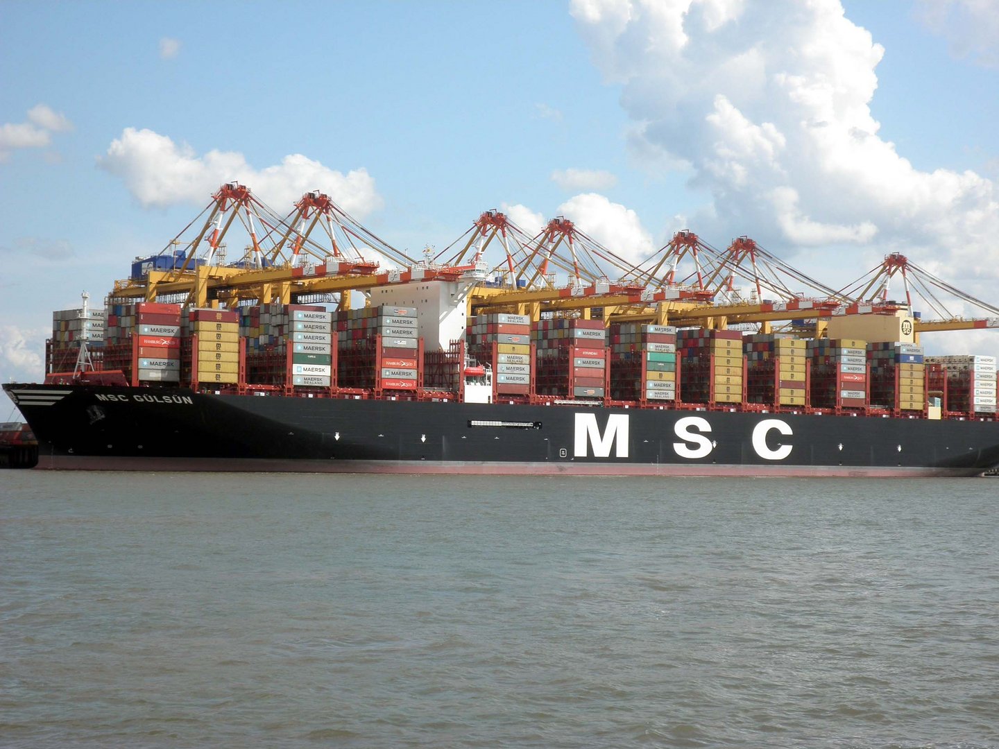 MSC GÜLSÜN Foto & Bild | deutschland, weser, bremerhaven Bilder auf ...