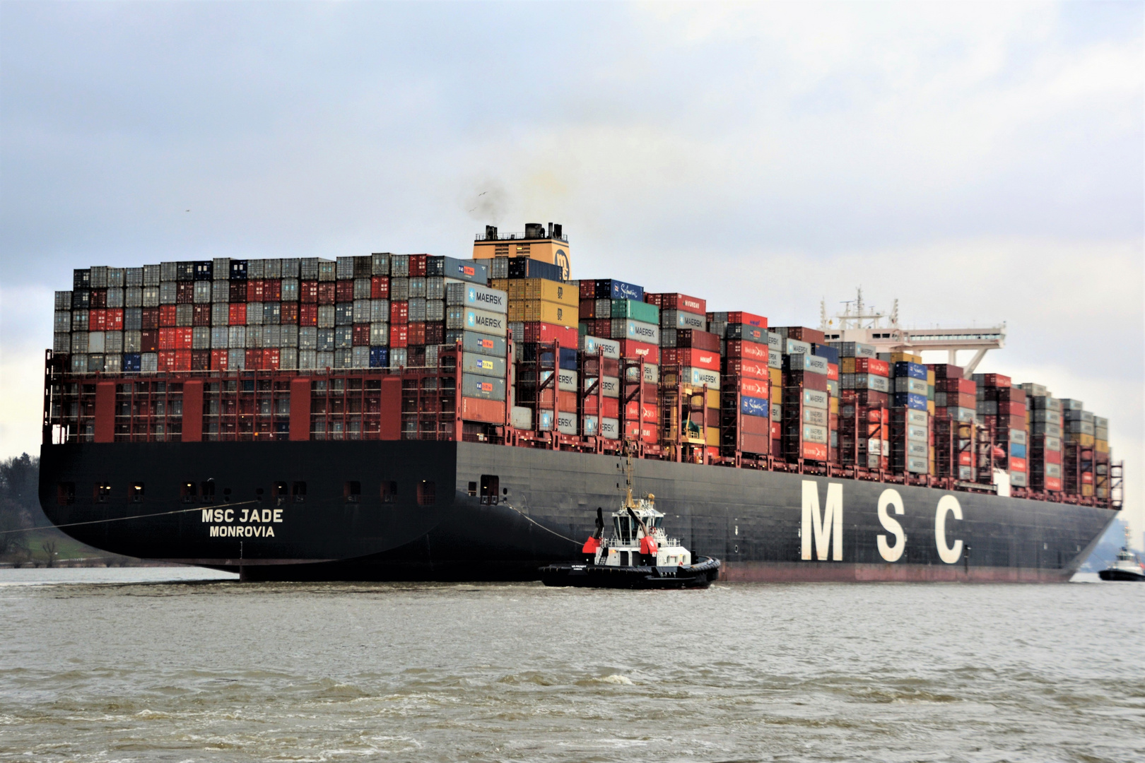 MSC JADE Foto & Bild | bilder, fotos, nikon Bilder auf fotocommunity