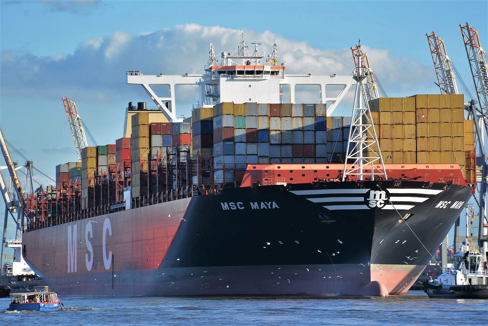 MSC MAYA Foto & Bild | fotos, nikon, world Bilder auf fotocommunity