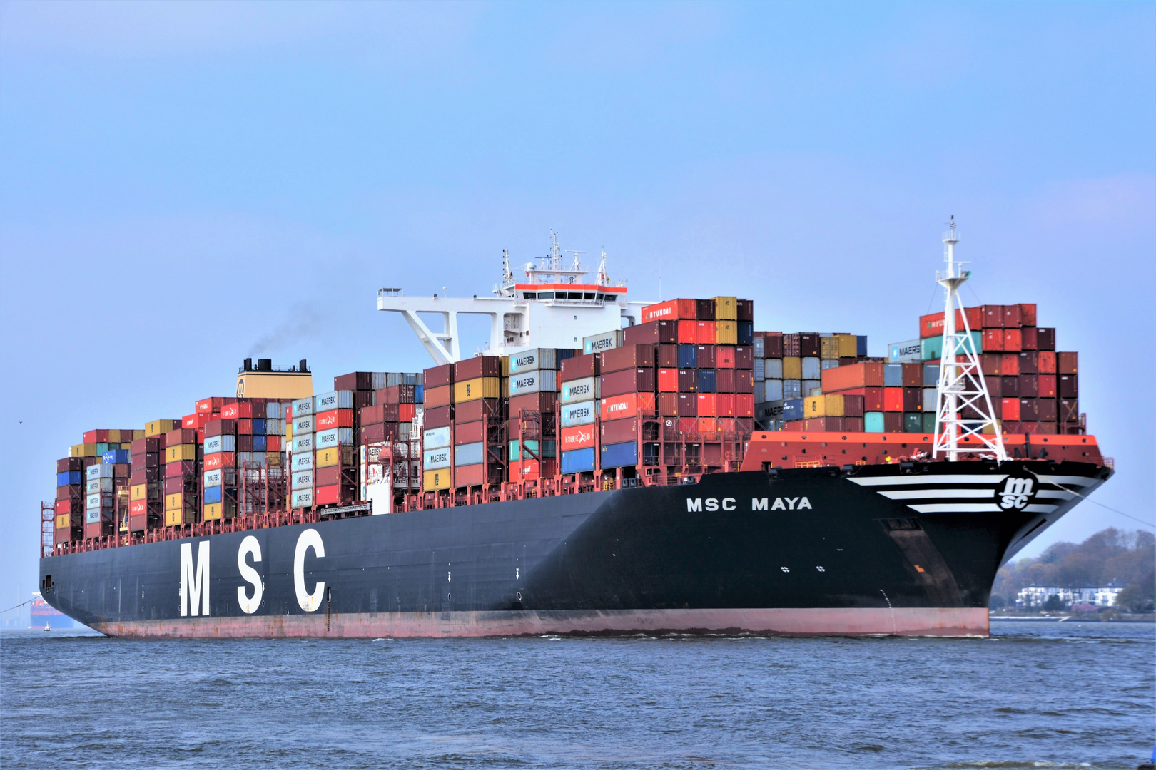 MSC MAYA Foto & Bild | bilder, fotos, nikon Bilder auf fotocommunity