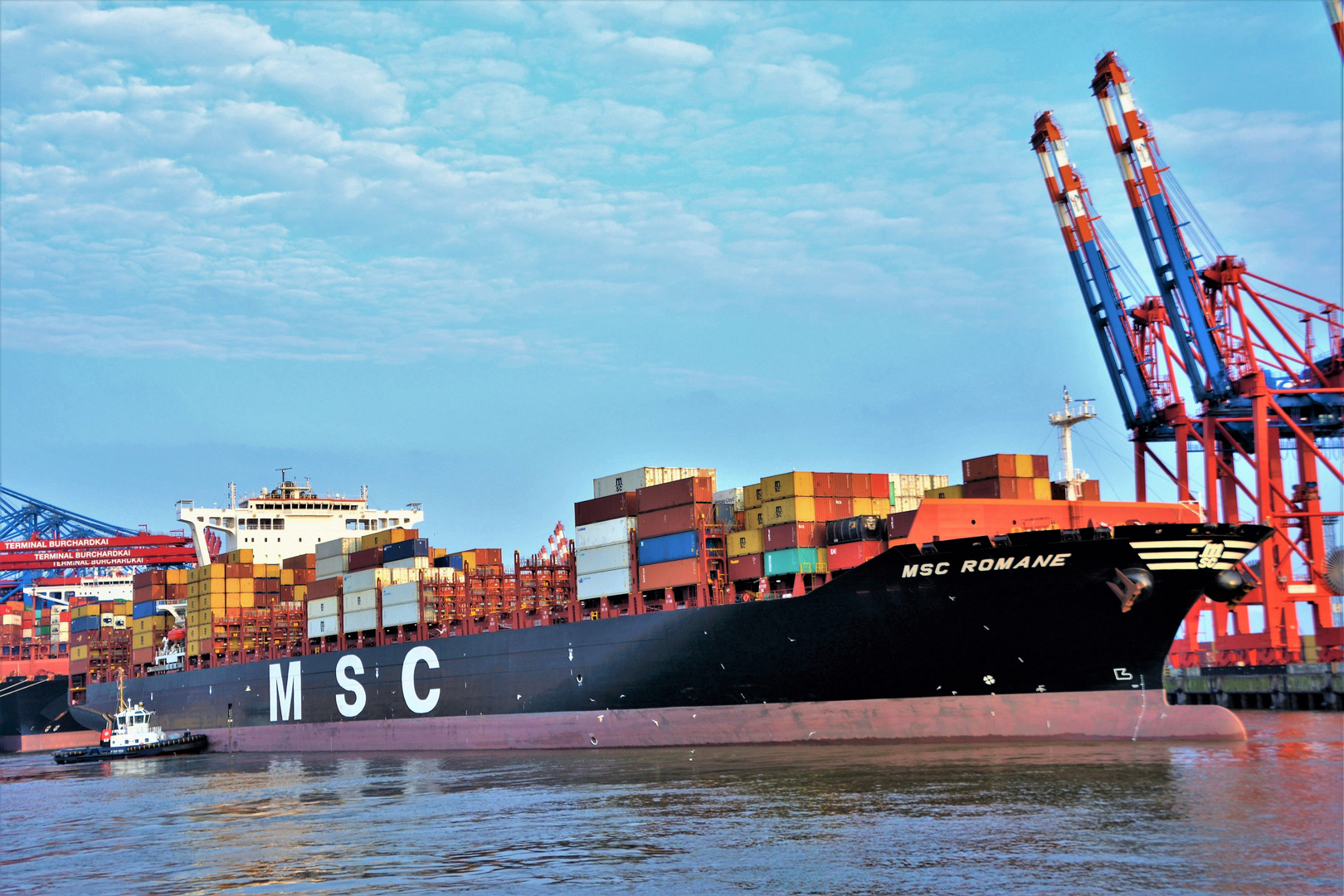 MSC ROMANE Foto & Bild | fotos, nikon, world Bilder auf fotocommunity