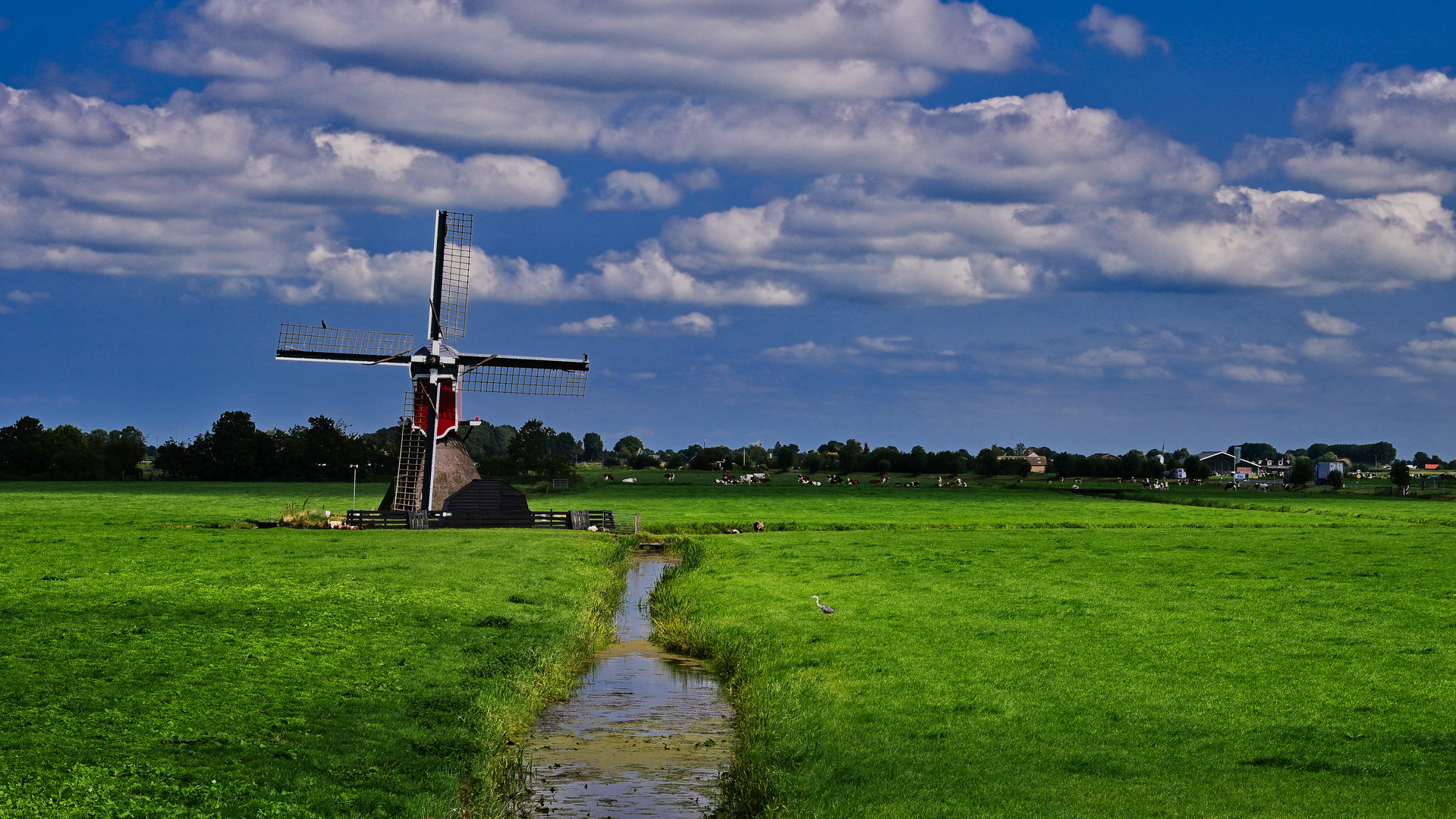 Mühle bei Alphen Foto & Bild | youth, sommer, wolken Bilder auf ...
