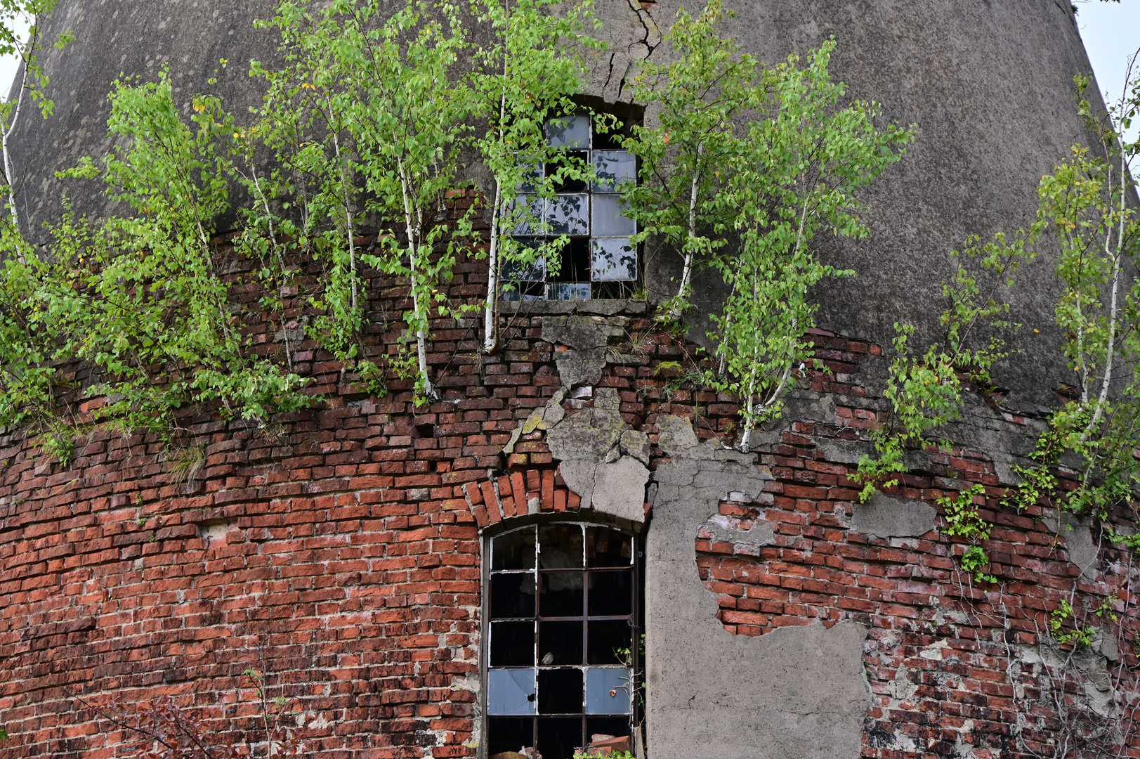 Mühlenstumpf Windheim - Detail Foto & Bild | world, bäume, natur Bilder ...