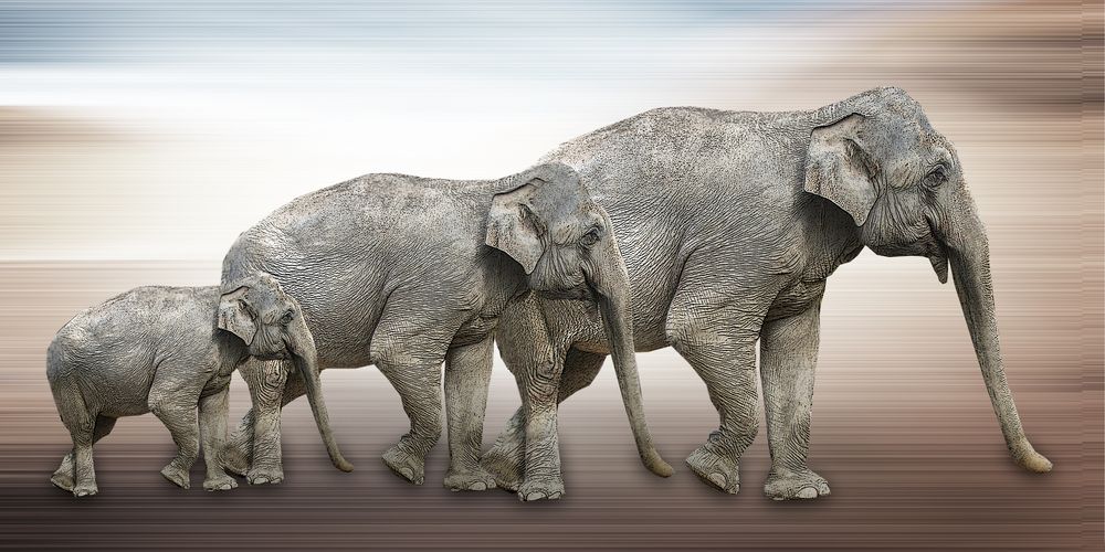 Münchner Zoo Hellabrunn 8 Foto & Bild | tiere, world, münchen Bilder ...