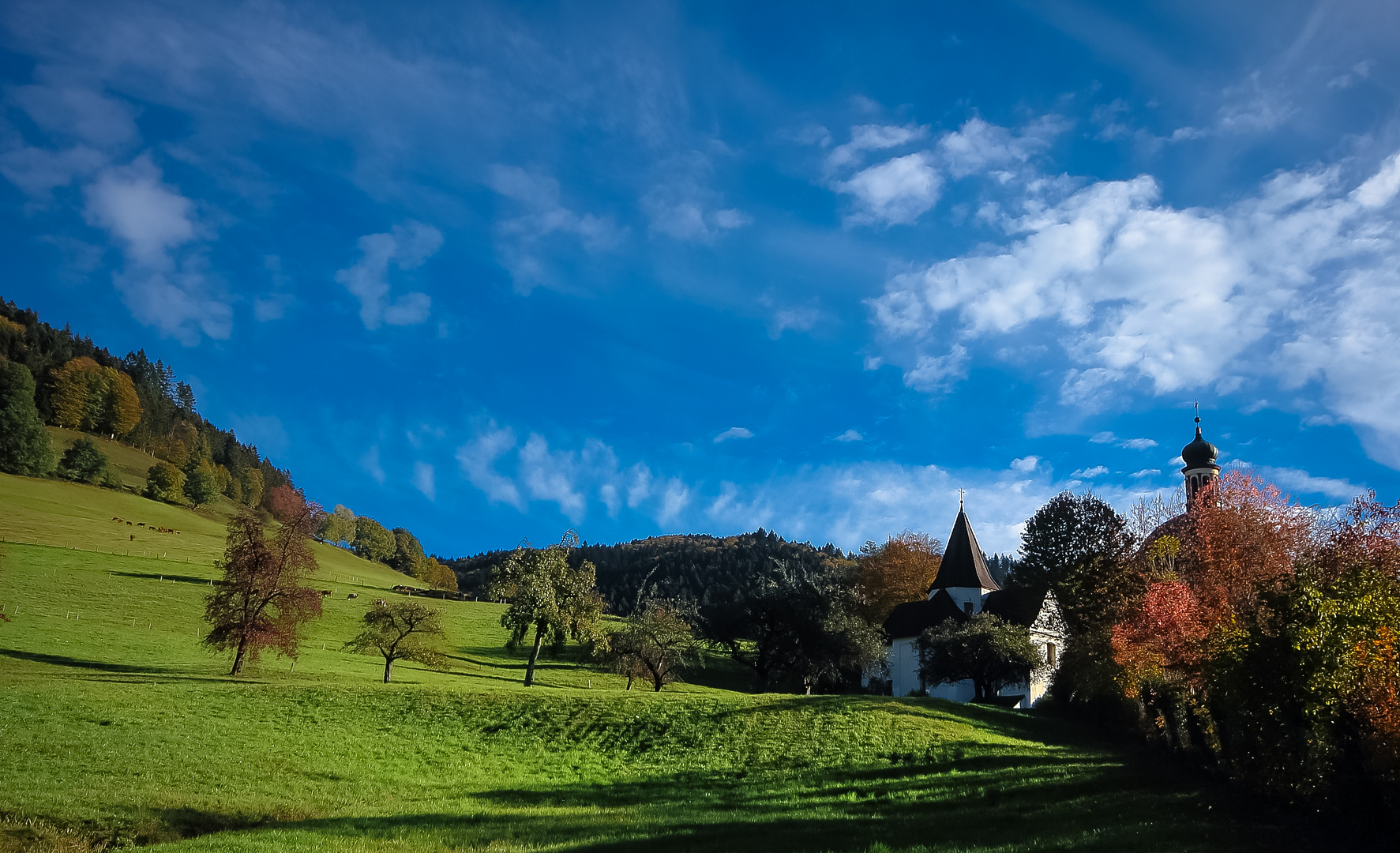 Münstertal Schwarzwald Foto & Bild | landschaft, natur, world Bilder ...