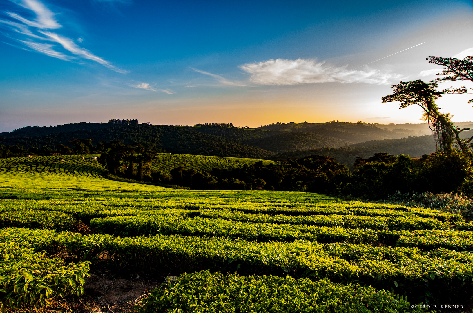 Mufindi highlands in Tanzania Foto & Bild | africa, eastern africa ...