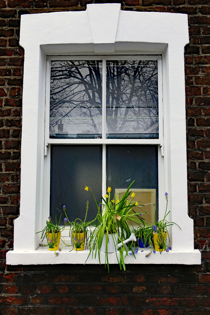 Multi Color Window Foto & Bild | streetfotografie ohne menschen, london ...