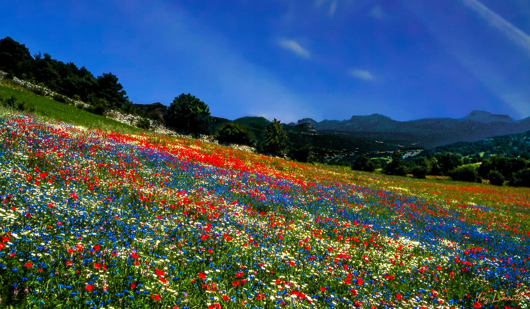 Multicolore... photo et image | animations photographiques, un jour ...