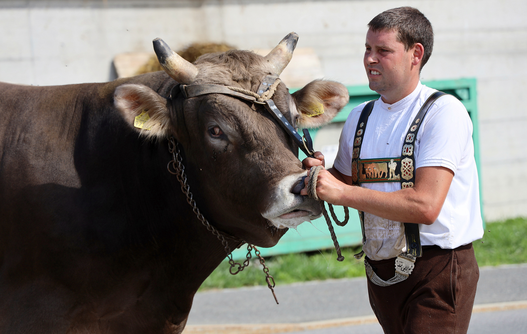 Muni 2 Foto & Bild | tiere, streetfotografie mit menschen, fashion ...