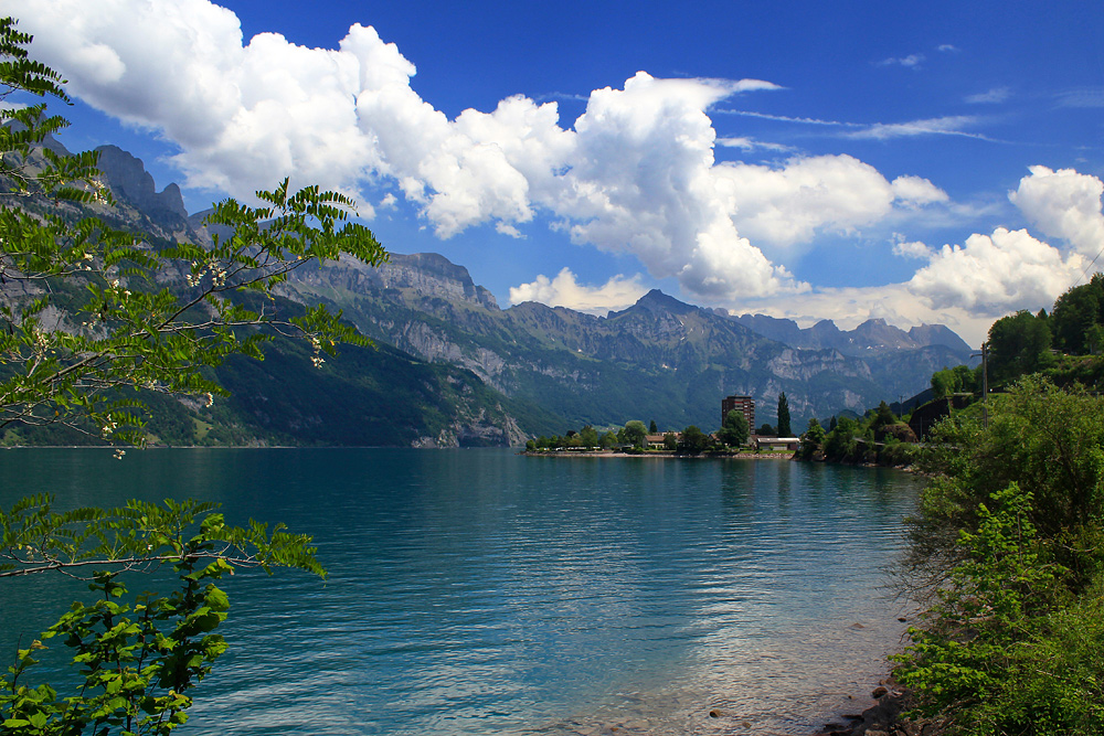 Murg am Walensee Foto & Bild | landschaft, berge, natur&getier Bilder auf fotocommunity