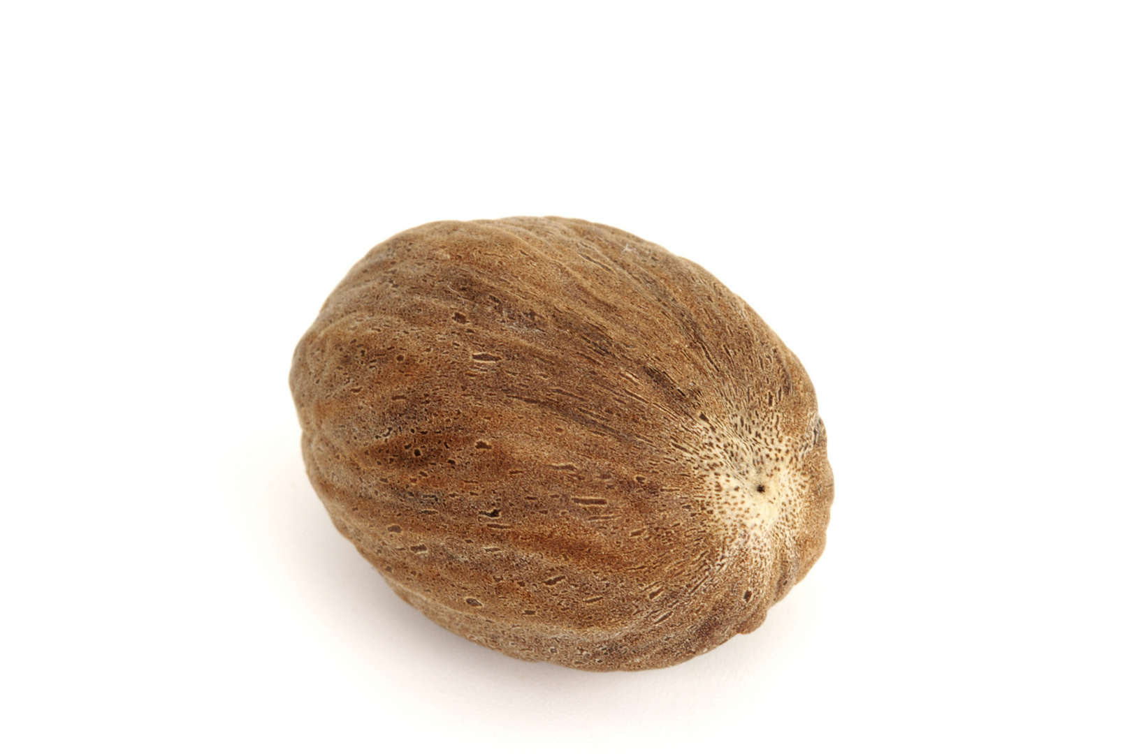 Muskat c Foto & Bild | stillleben, food-fotografie, gewürze Bilder auf ...