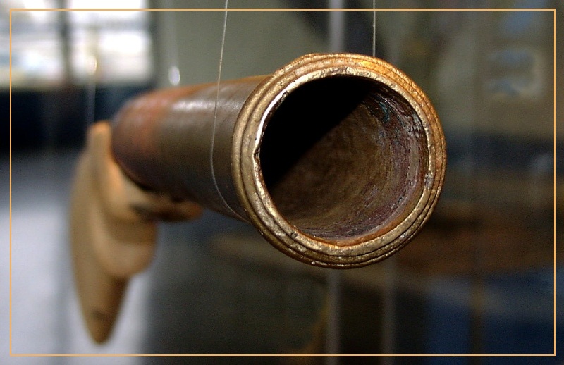 Muskete Foto & Bild | usertreffen+veranstaltungen, rügen, mecklenburg ...