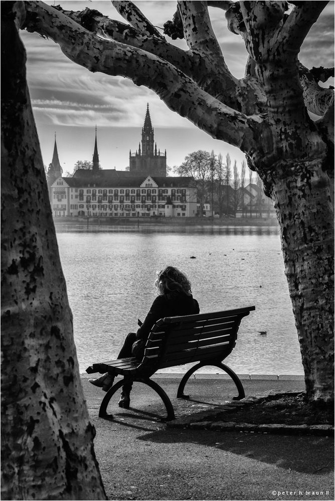 Muße am See Foto & Bild | deutschland, europe, baden- württemberg ...