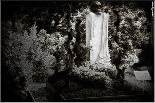 Digiart, Bildbearbeitung, Fotobearbeitung