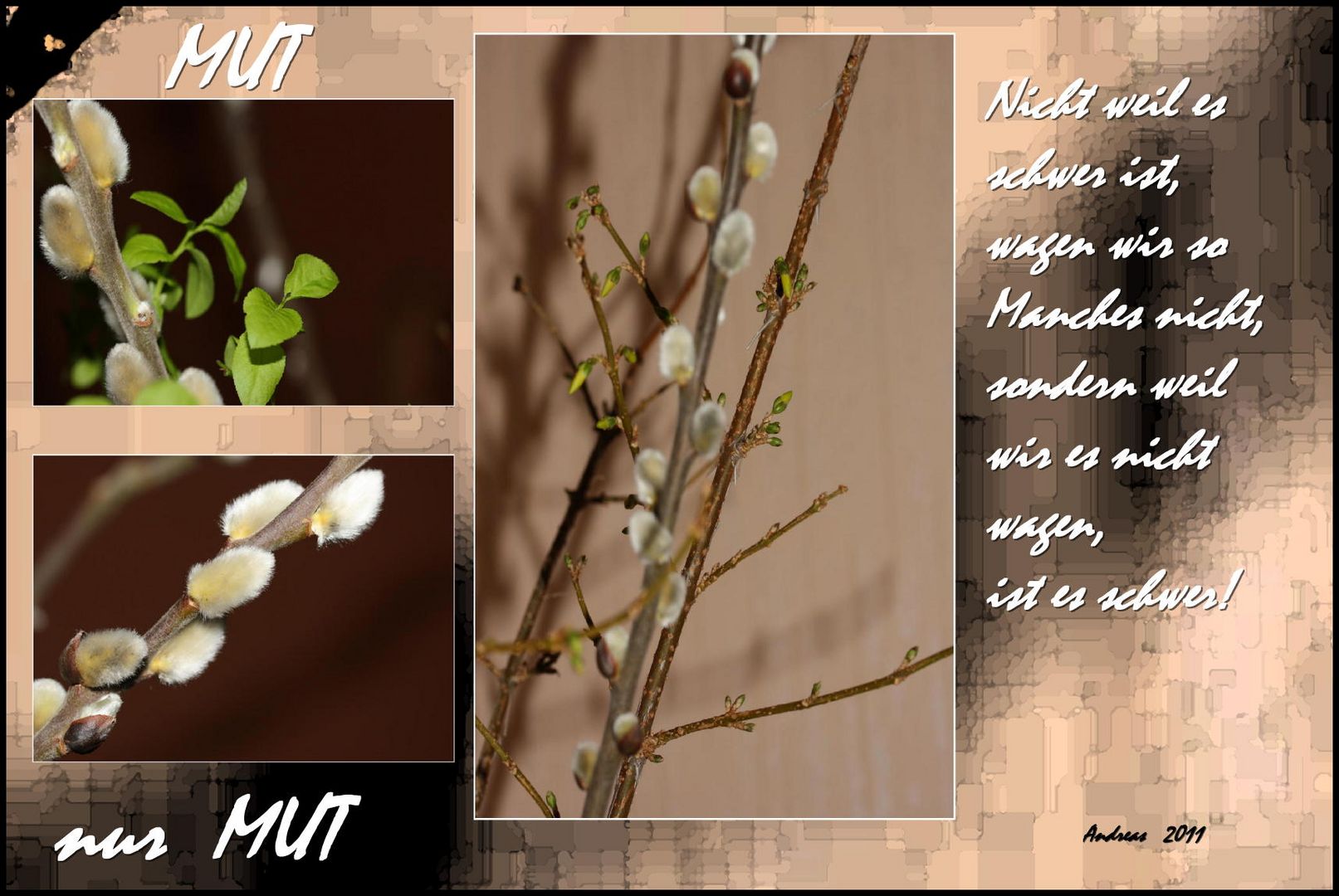 Mut, nur Mut Foto & Bild | jahreszeiten, frühling, natur Bilder auf ...