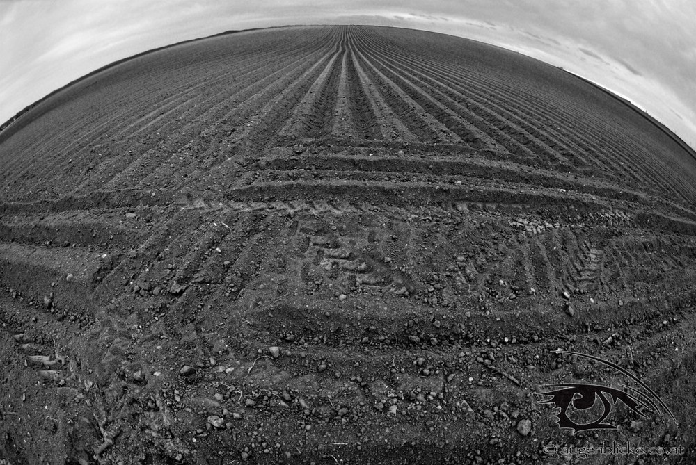 Mutter Erde Foto & Bild | sonstiges, natur und technik, natur Bilder ...