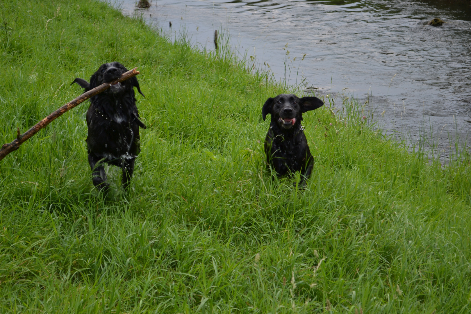 mutter und sohn Foto & Bild | tiere, haustiere, natur Bilder auf ...
