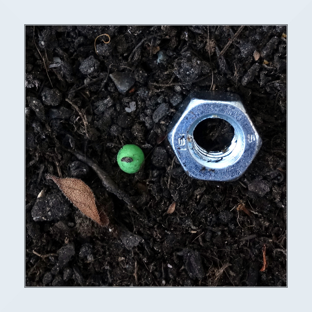 Mutterboden Foto & Bild | fun, spezial, stillleben Bilder auf fotocommunity