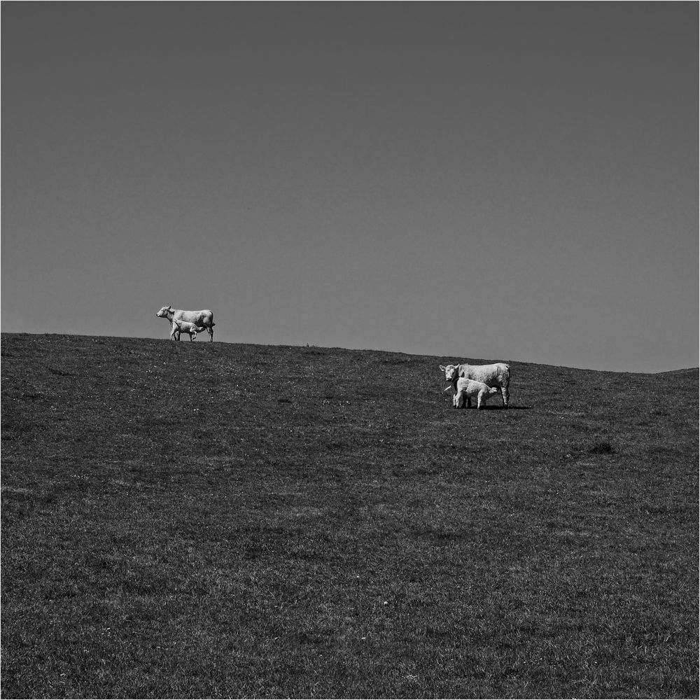 Mutterglück, 2 Foto & Bild | monochrom Bilder auf fotocommunity