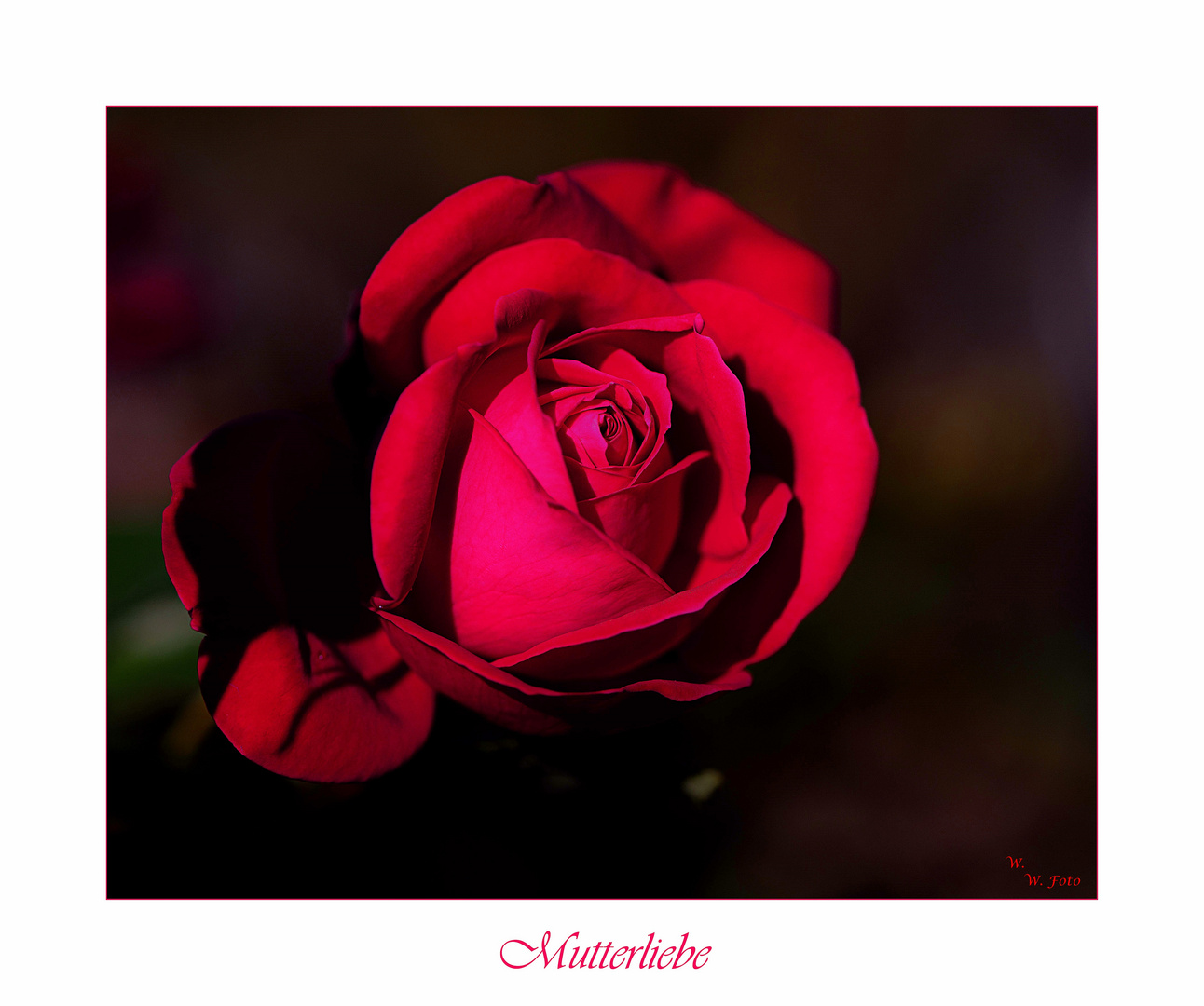 Mutterliebe Foto & Bild | techniken, aufnahme-techniken, auftsteckblitz ...